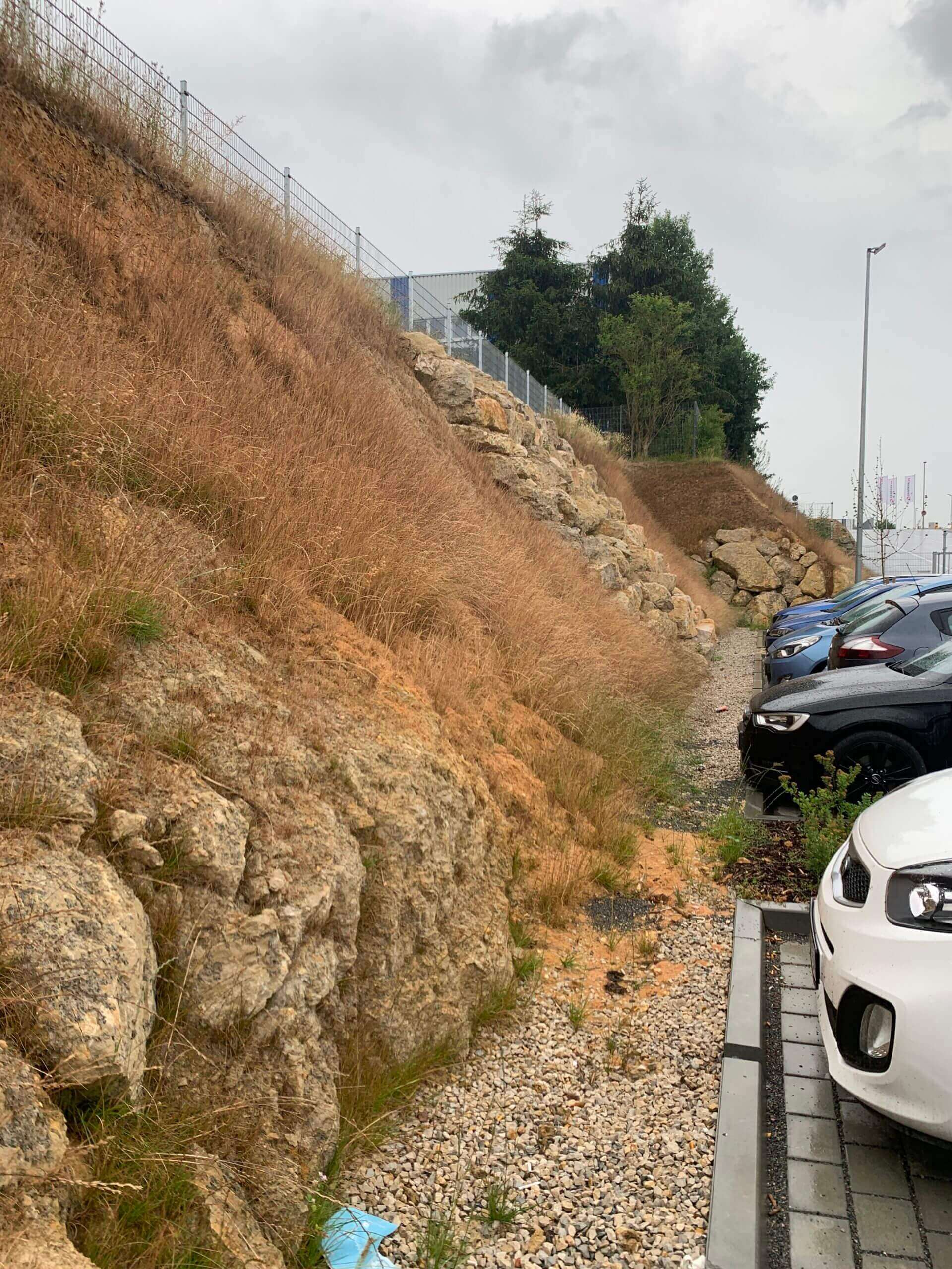 Hydroseeding with Hydroseed Method
